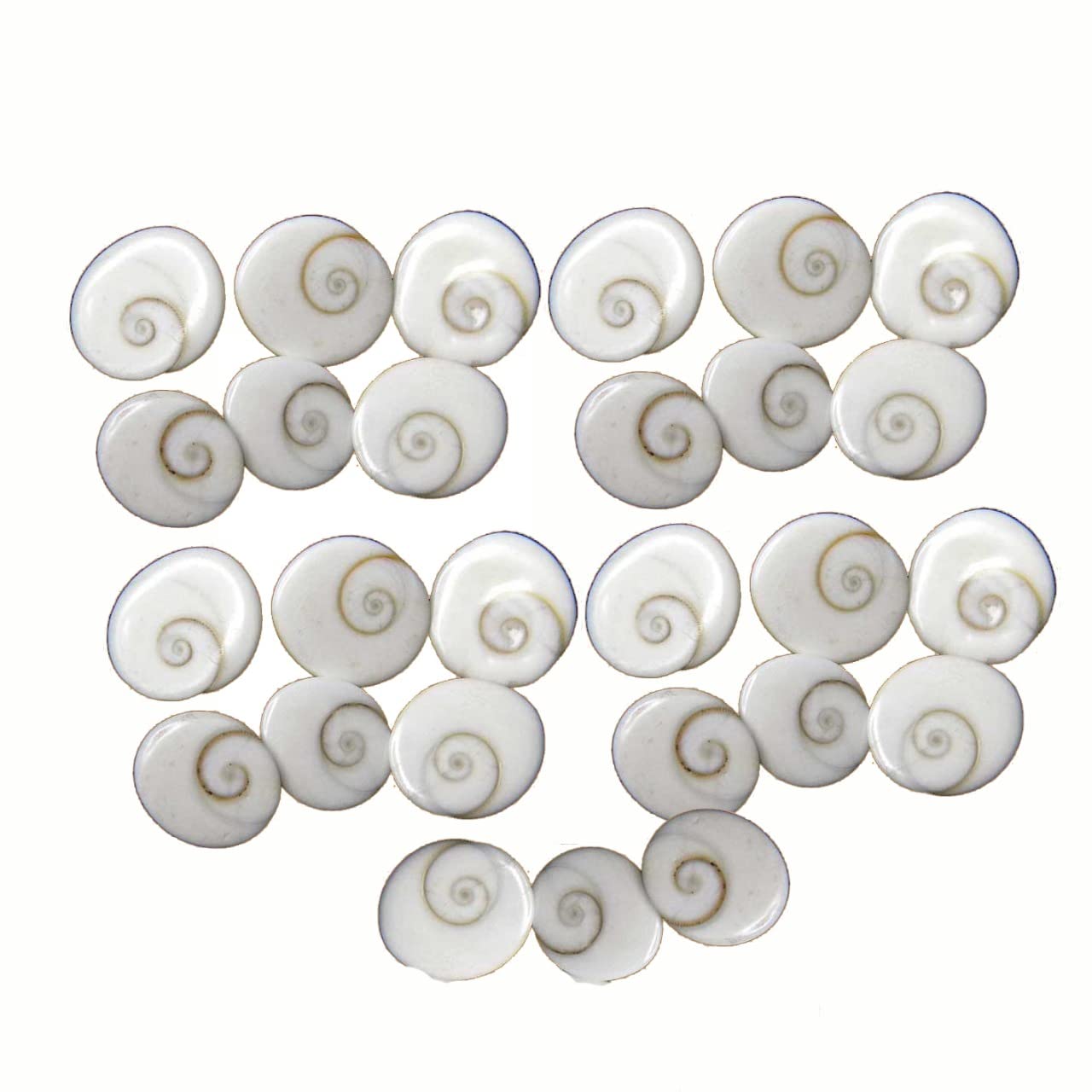 Buy Ezeeport Gomati Chakra/Sea Shell Natural Original for Pooja ...