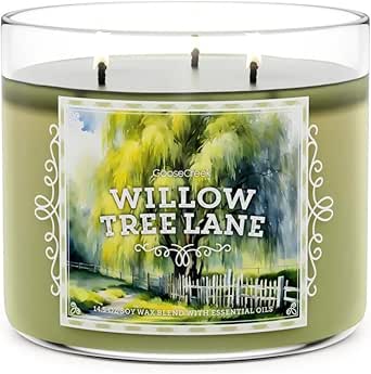 Amazon.com: Generic Candle with Essential Oils, 3 Wicks, 14.5 oz Each ...