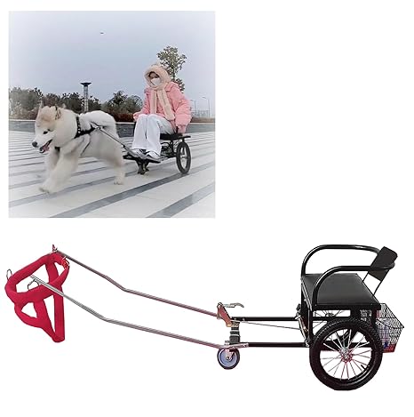 Amazon.com: Dog Carts for Dogs to Pull People,Upholstered Seats Dogs ...