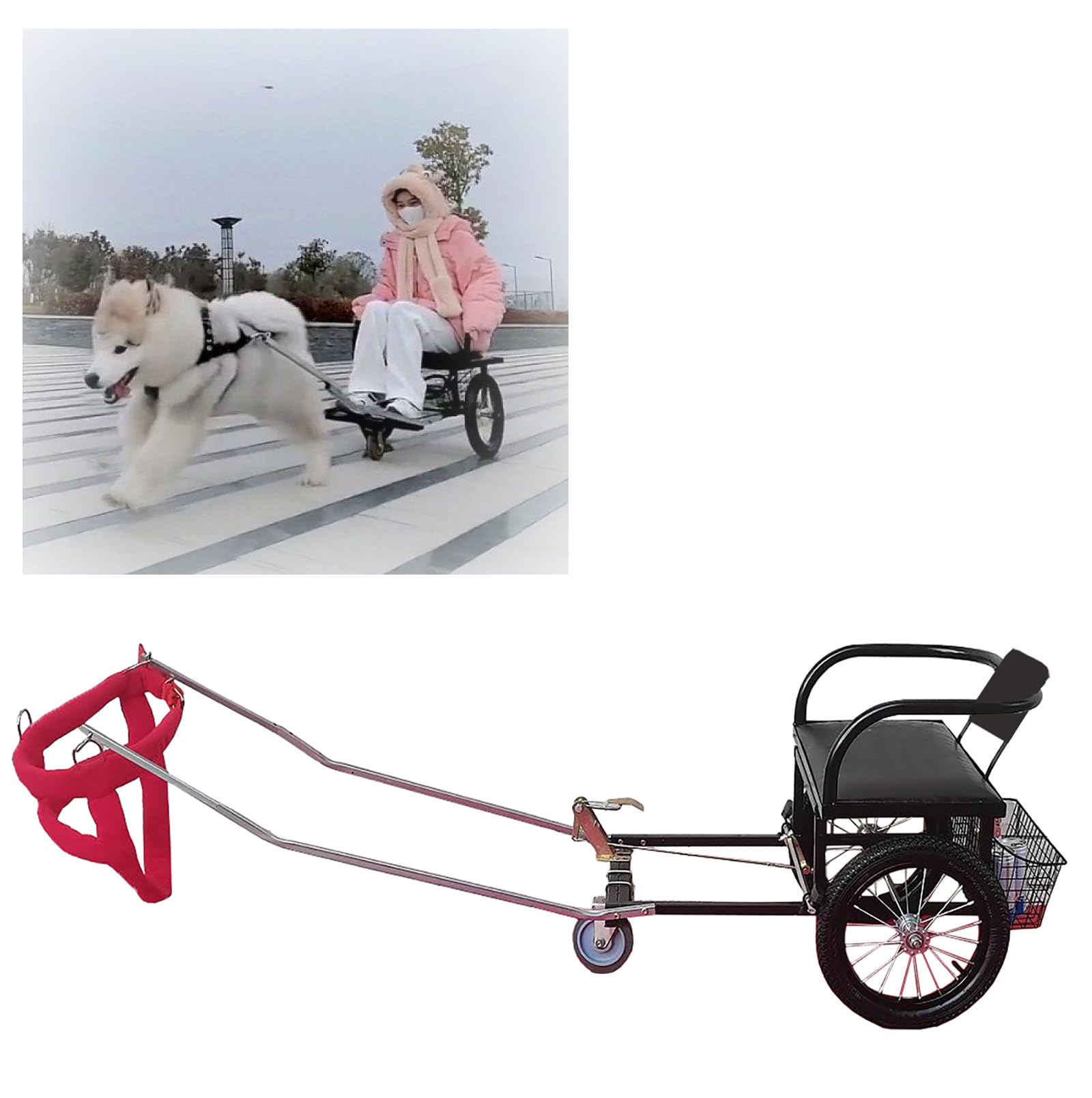 Amazon.com: Dog Carts for Dogs to Pull People,Upholstered Seats Dogs ...