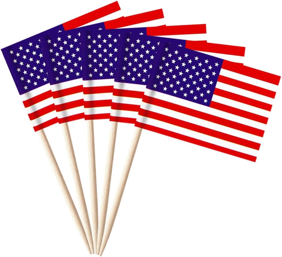 Amazon.com | stidsds 100 Pcs American US Flag USA Toothpick Flags Mini ...