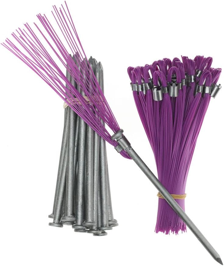 Amazon.com : Trail Chasers Hard Ground Markers Purple 6 Inch Marking ...