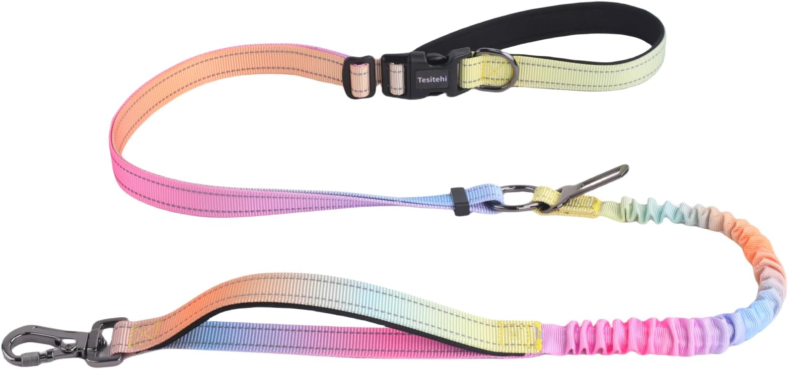 Amazon.com : Dog Leash, 5-7 FT Heavy Duty Bungee Dog Leash, Double ...
