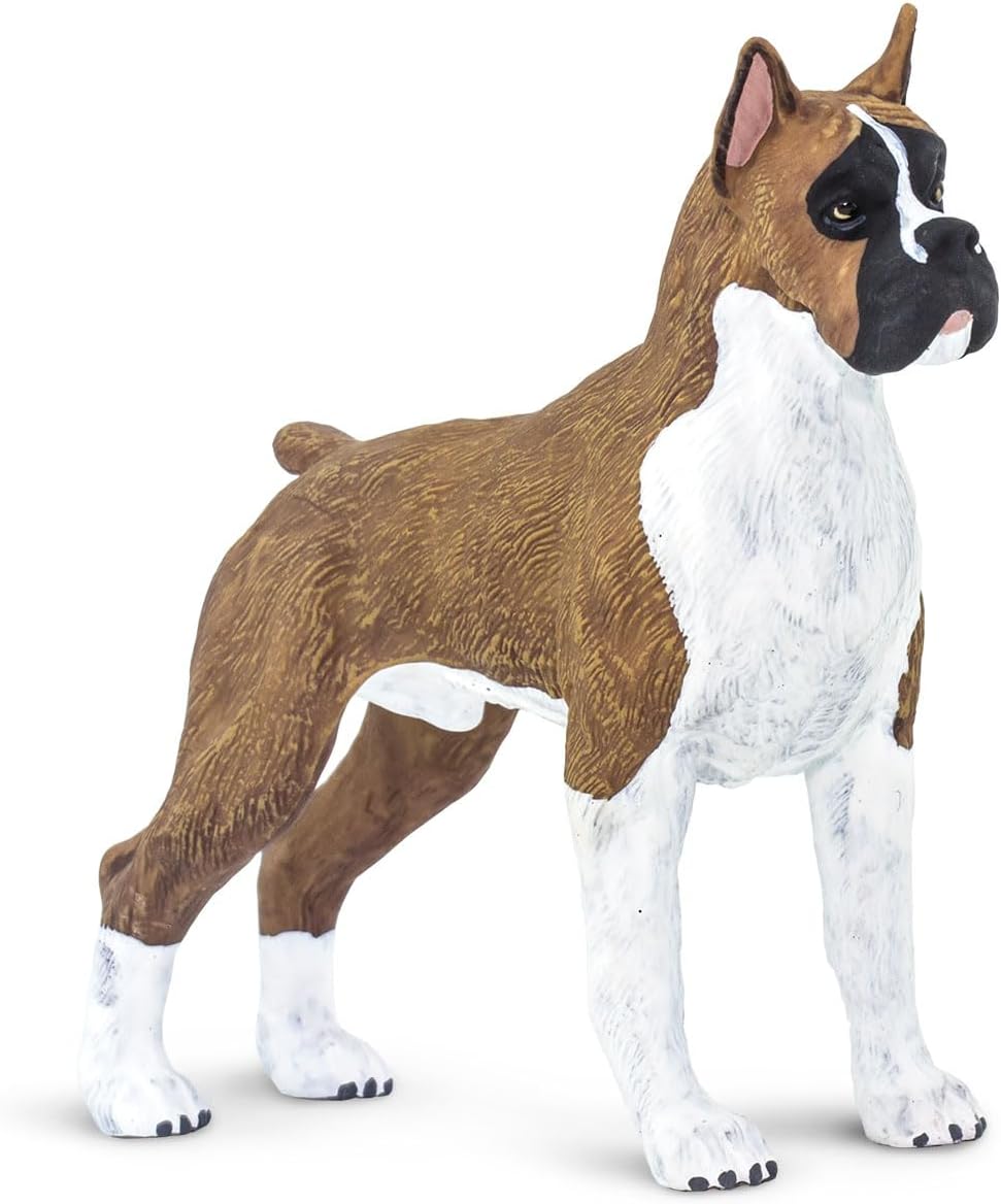 Amazon.com: Safari Ltd. Boxer Figurine - Detailed 4" Plastic Model ...
