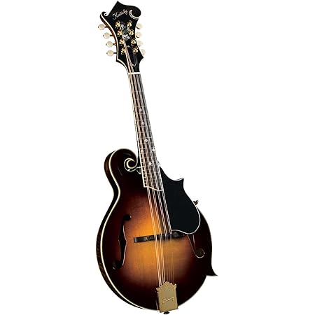 Amazon.com: Kentucky, 8-String Mandolin, Sunburst (KM-850) : Musical ...