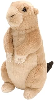 Prairie Dogs: The Complexities Of Keeping Them As Pets | PetShun