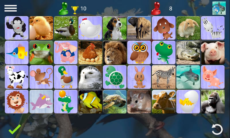 Animals Memory Game - App on Amazon Appstore
