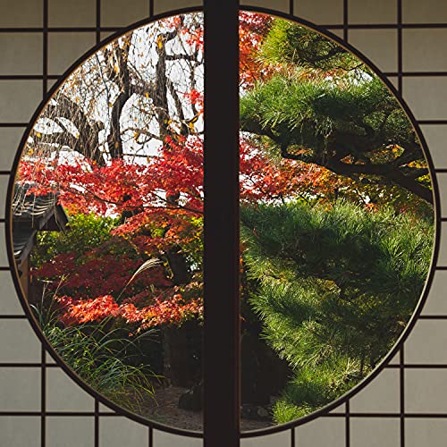 Roundabout de Bedtime Beats en Amazon Music Unlimited