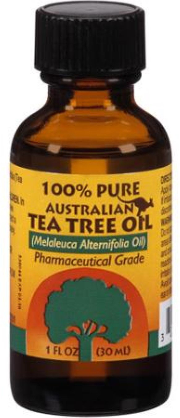 Amazon.com: Humco 100% Pure Australian Tea Tree Oil 1 oz (Pack of 2 ...
