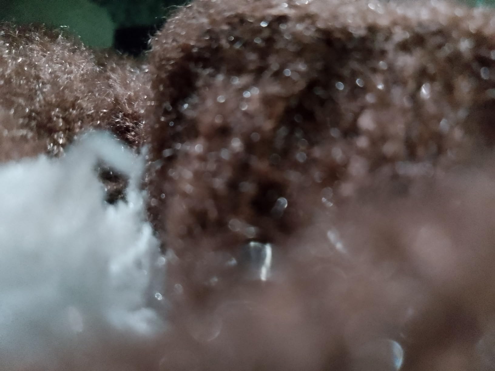 Elephant Lubricated Air Compressor 30 Litre Copper 100% Copper Winding ...