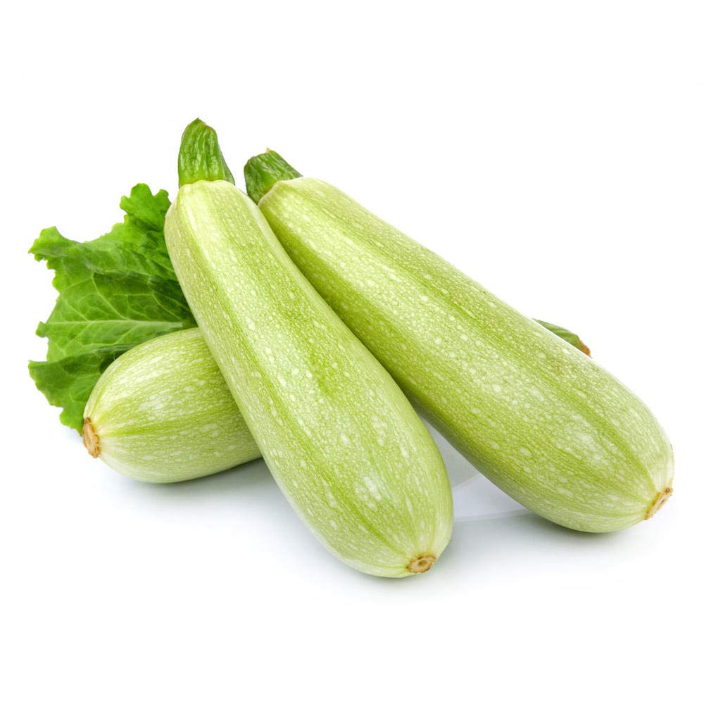 Burpee Fordhook Zucchini Summer Squash Seeds 50 Seeds : Amazon.ca ...