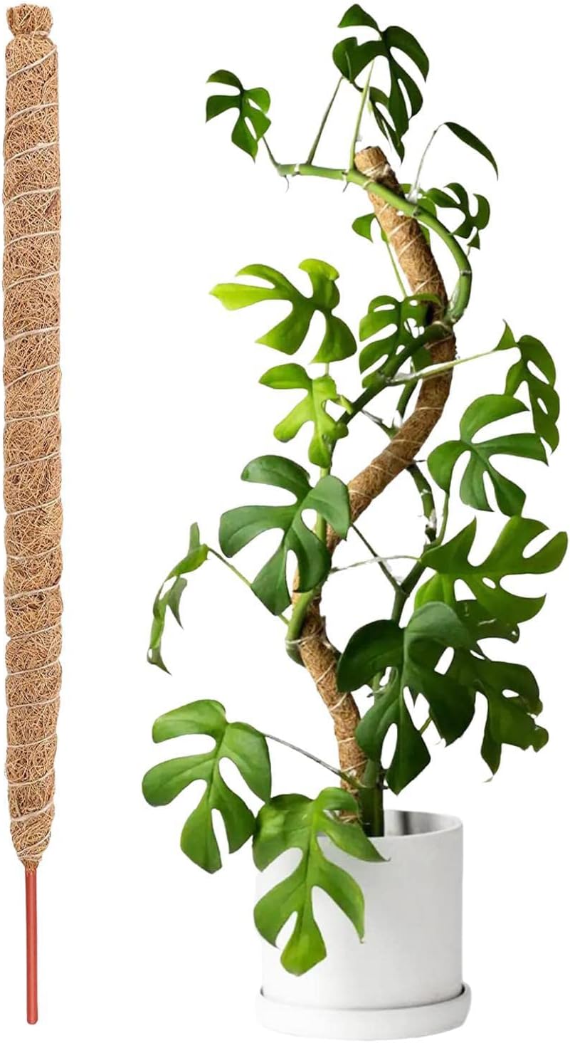 MCNVNZ 6 Pcs Tutor para Plantas, 60cm Varillas de Musgo Flexibles ...
