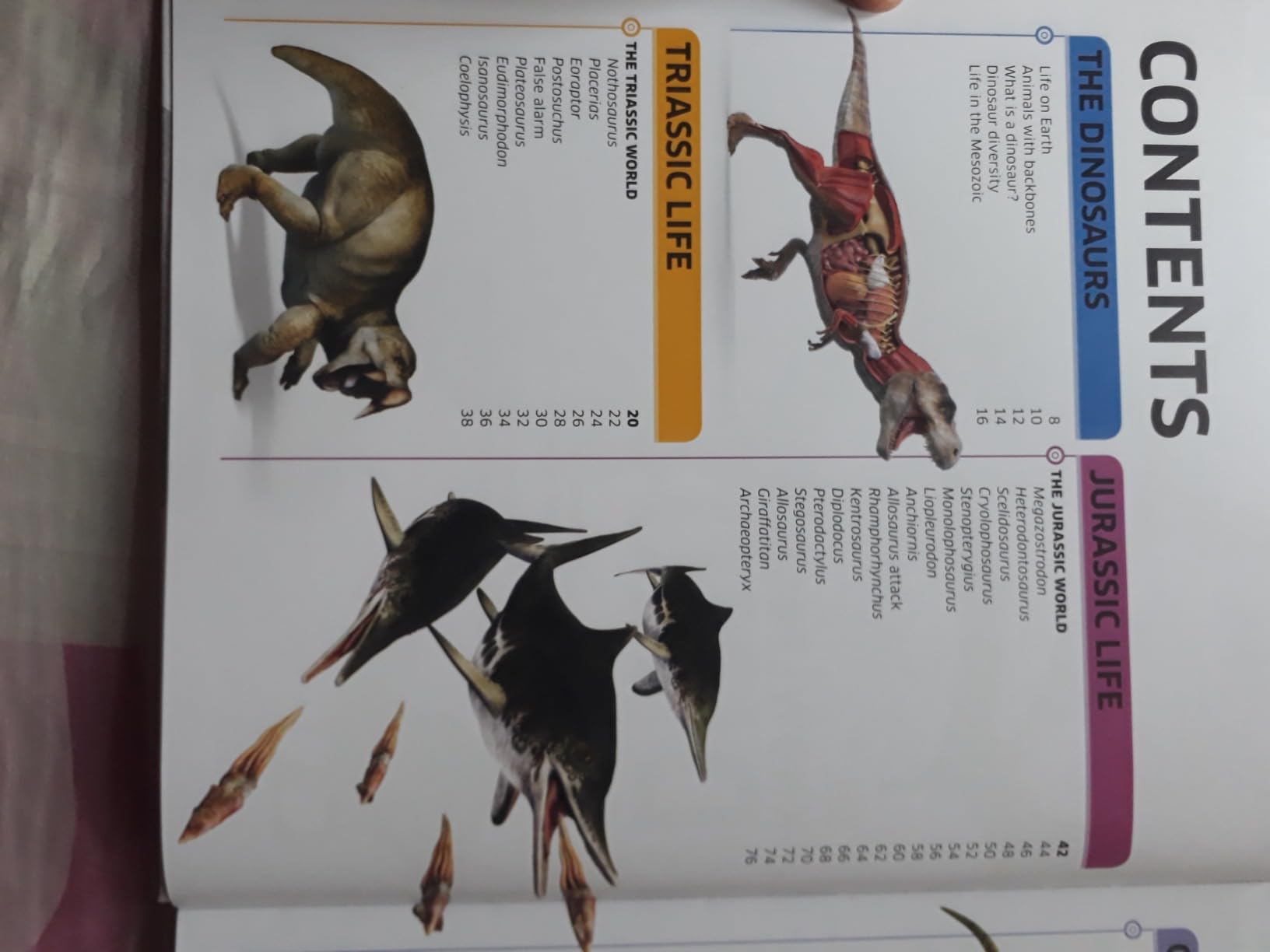 Knowledge Encyclopedia Dinosaur!: Over 60 Prehistoric Creatures as You've Never Seen Them Before ...