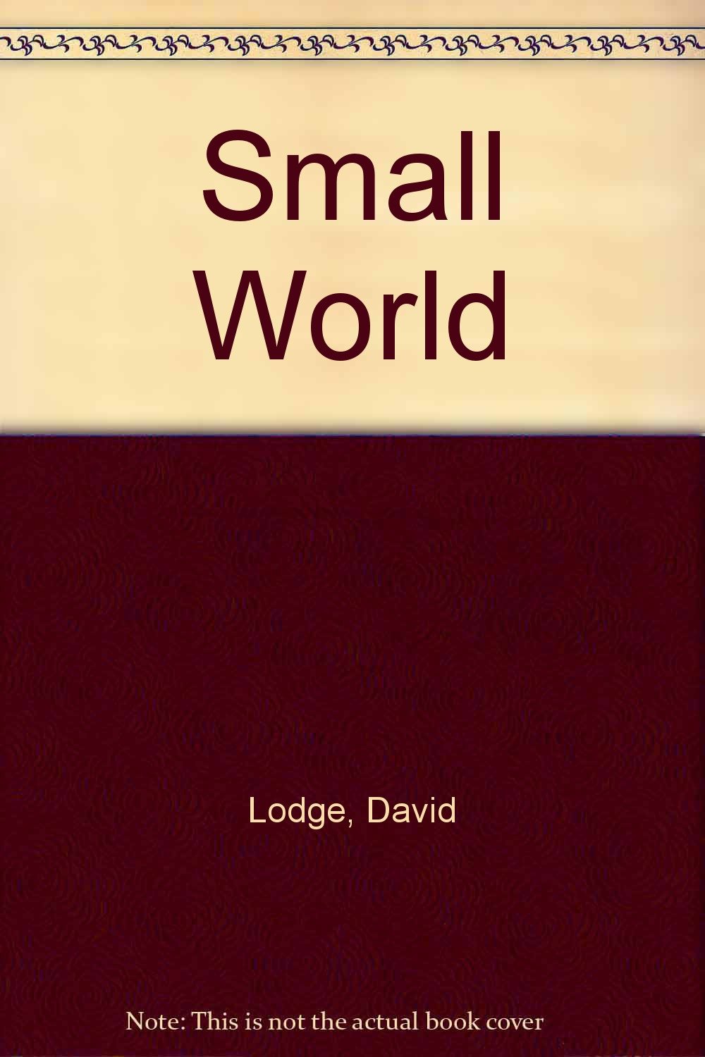 Small World: Amazon.co.uk: Books