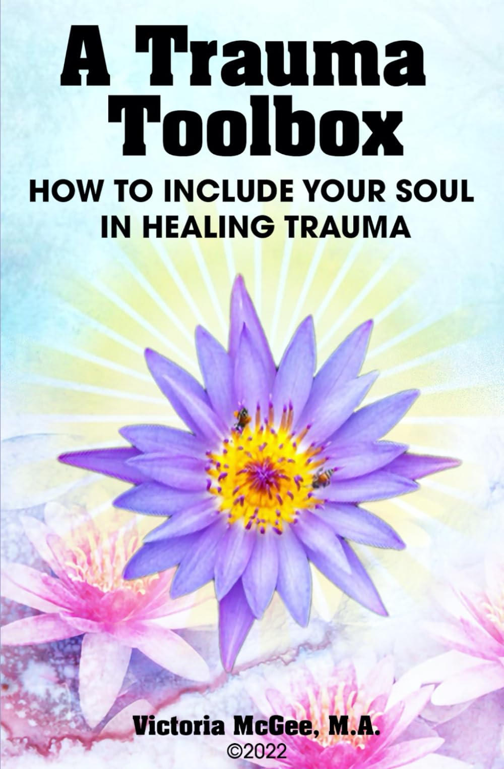 A TRAUMA TOOLBOX: HOW TO INCLUDE YOUR SOUL IN HEALING TRAUMA: McGee M.A ...