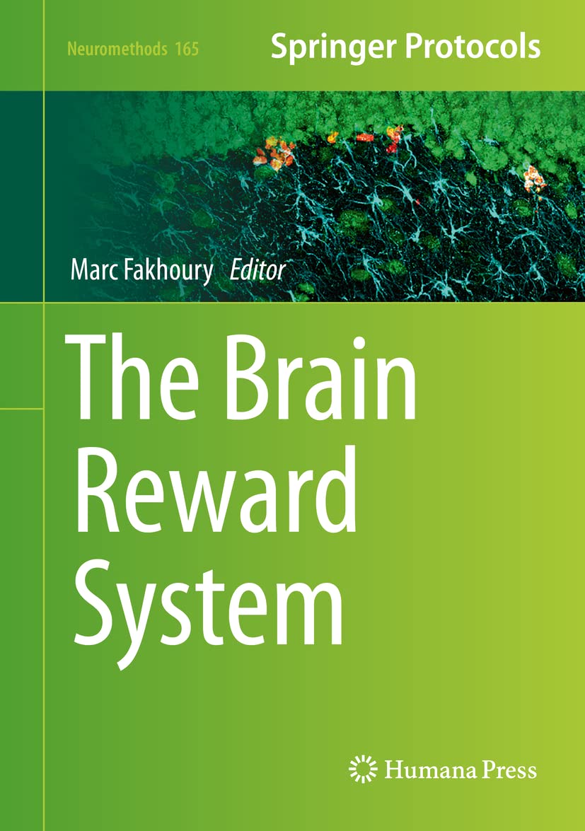 The Brain Reward System (Neuromethods, 165): 9781071611456: Medicine ...