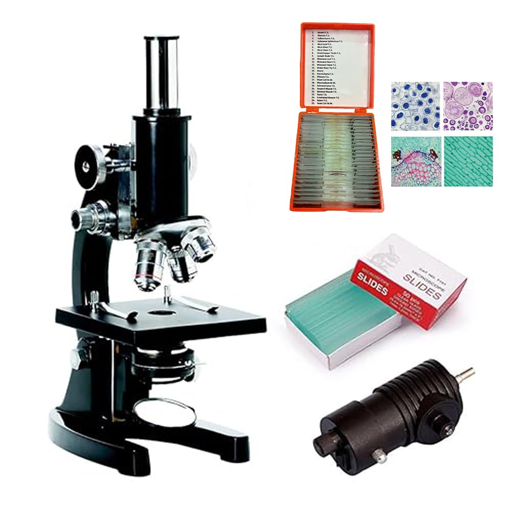 Compound Light Microscope Blank Microscope | The Biology Corner