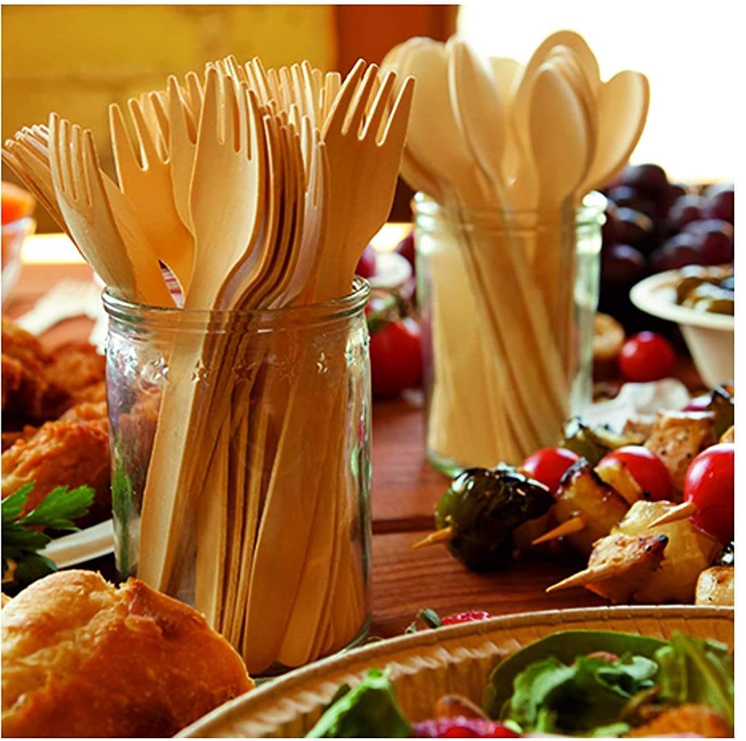 Bio Box Disposable Wooden Spoons (50) & Disposable Wooden Forks (50 ...