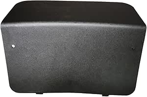 Amazon.com : Cheeks Golf Cart Parts E-Z-GO RXV Rear Body Access Panel ...