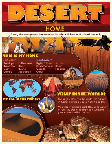 Amazon | Desert Home Cheap Chart (Cheap Charts) | School Specialty ...