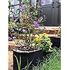 Amazon.com : Smart Pots 30-Gallon Smart Pot Soft-Sided Container, Black ...