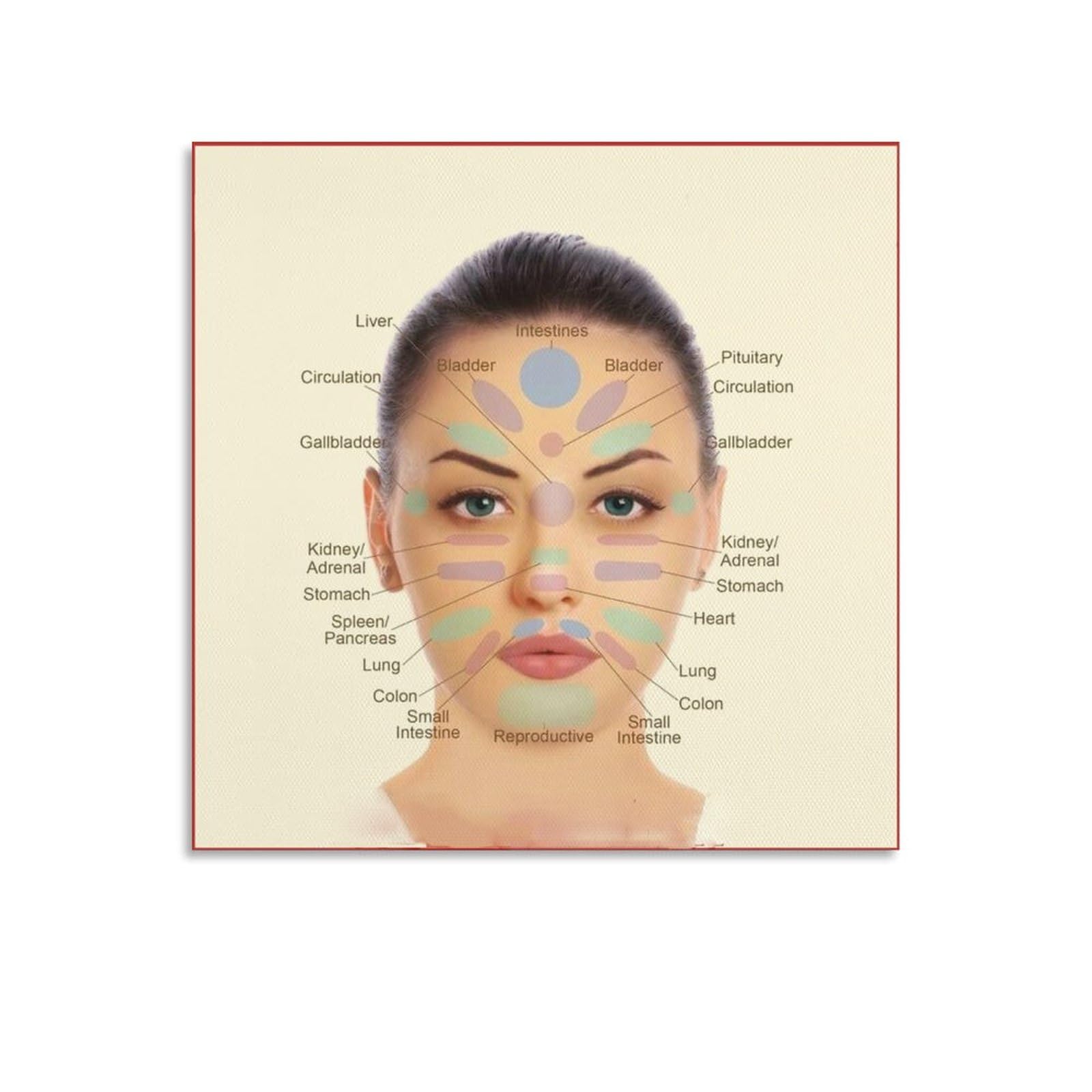 Face Acupuncture Point Diagram