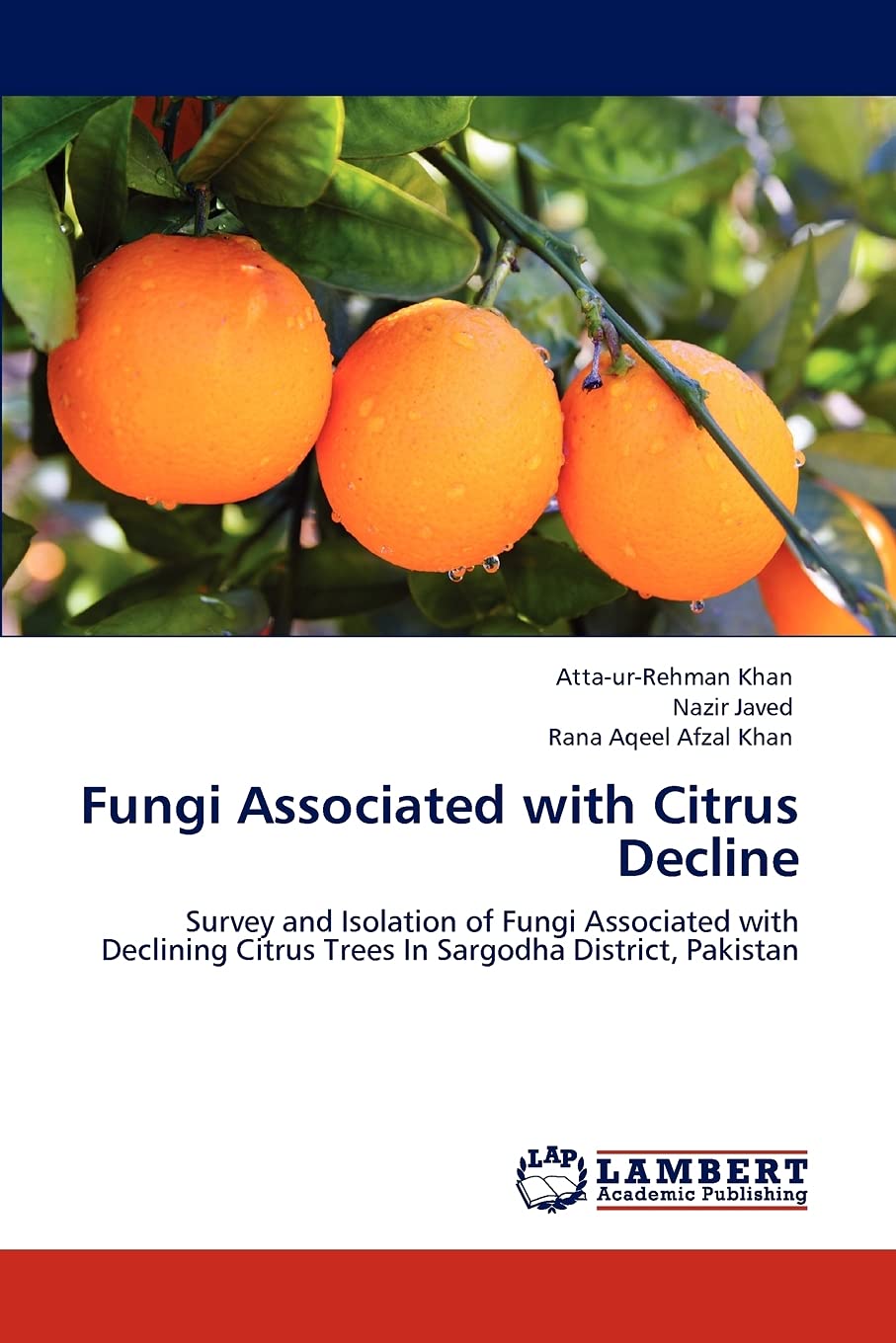 Buy Fungi Associated with Citrus Decline: Survey and Isolation of Fungi ...