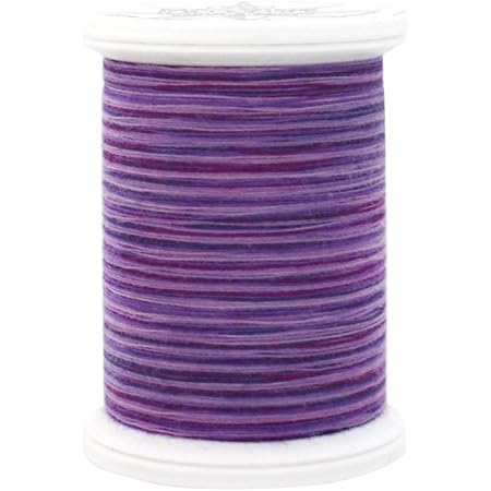 Amazon.com: YLI 24450-09V 3-Ply 40wt T-40 Cotton Quilting Variegated ...