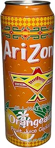 AriZona Drink Can Diversion Safe, Hidden Storage Container, Cash Stash ...