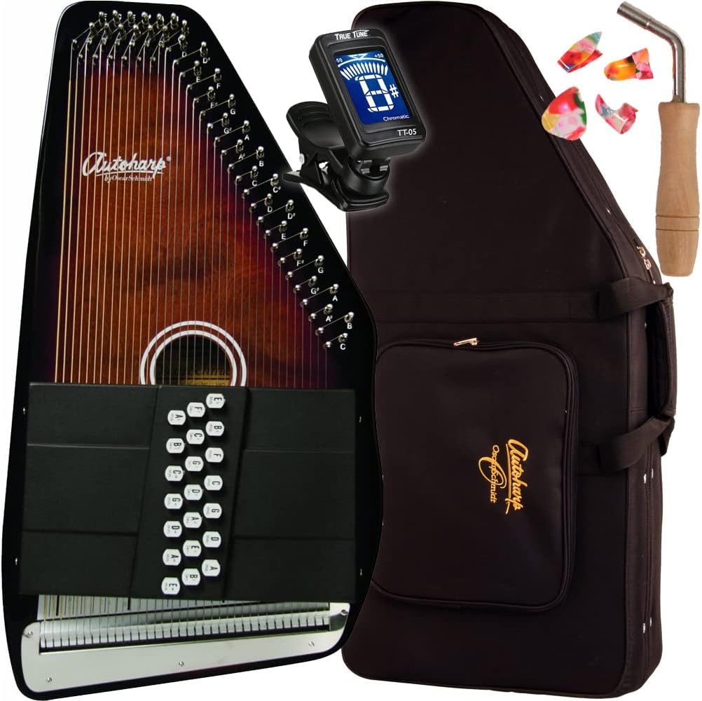 Oscar Schmidt Autoharp Case