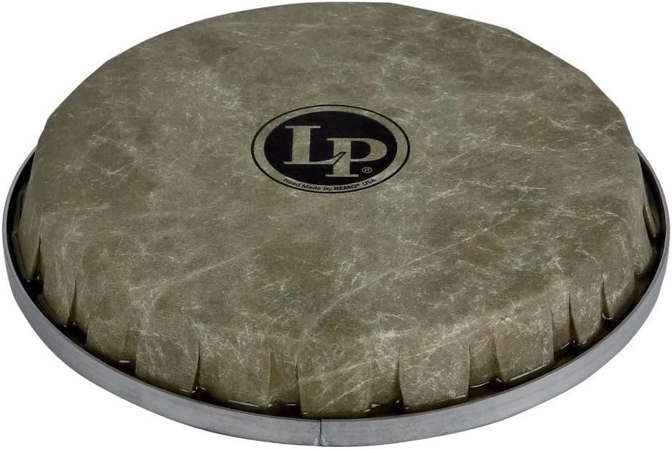 Amazon.com: Latin Percussion CP221B 7-Inch Replacement Bongo Head for ...