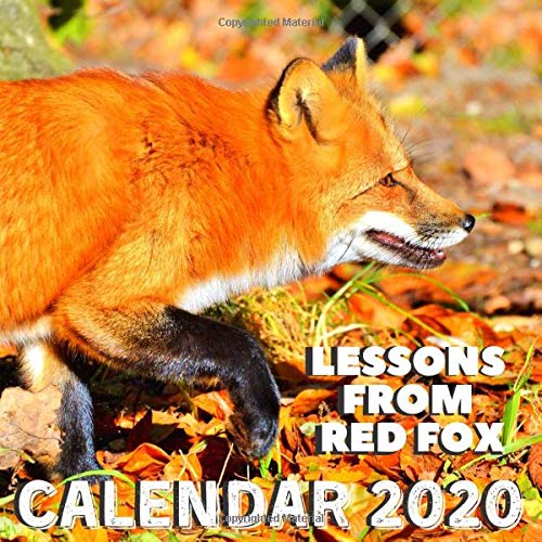 Lessons From Red Fox Calendar 2020: January 2020 - December 2020 Photo ...