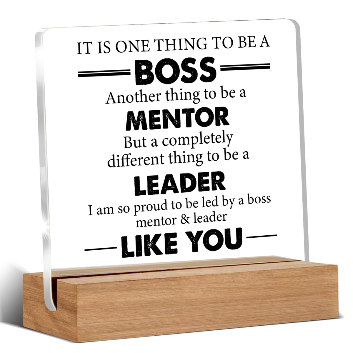 Amazon.com: Appreciation Gifts for Boss Leader Mentor Thank You Boss ...