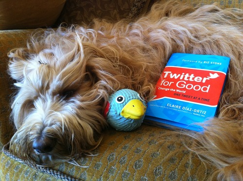 Twitter for Good: Change the World One Tweet at a Time: Diaz-Ortiz ...