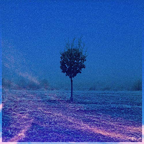 Amazon.com: Dreams, in All Forms : Meda Fulgida: Digital Music