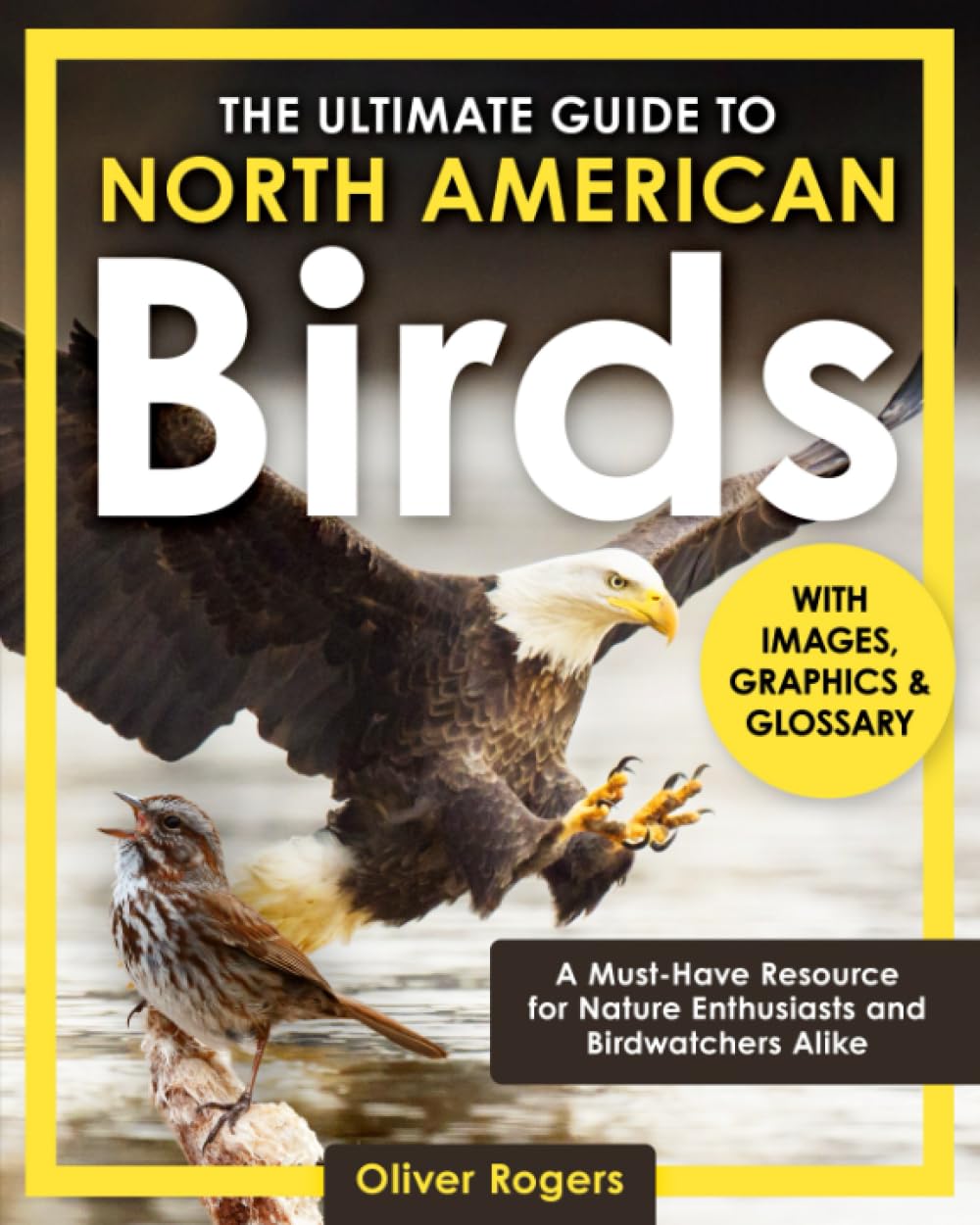 The Ultimate Guide to North American Birds: A Must-Have Resource for ...