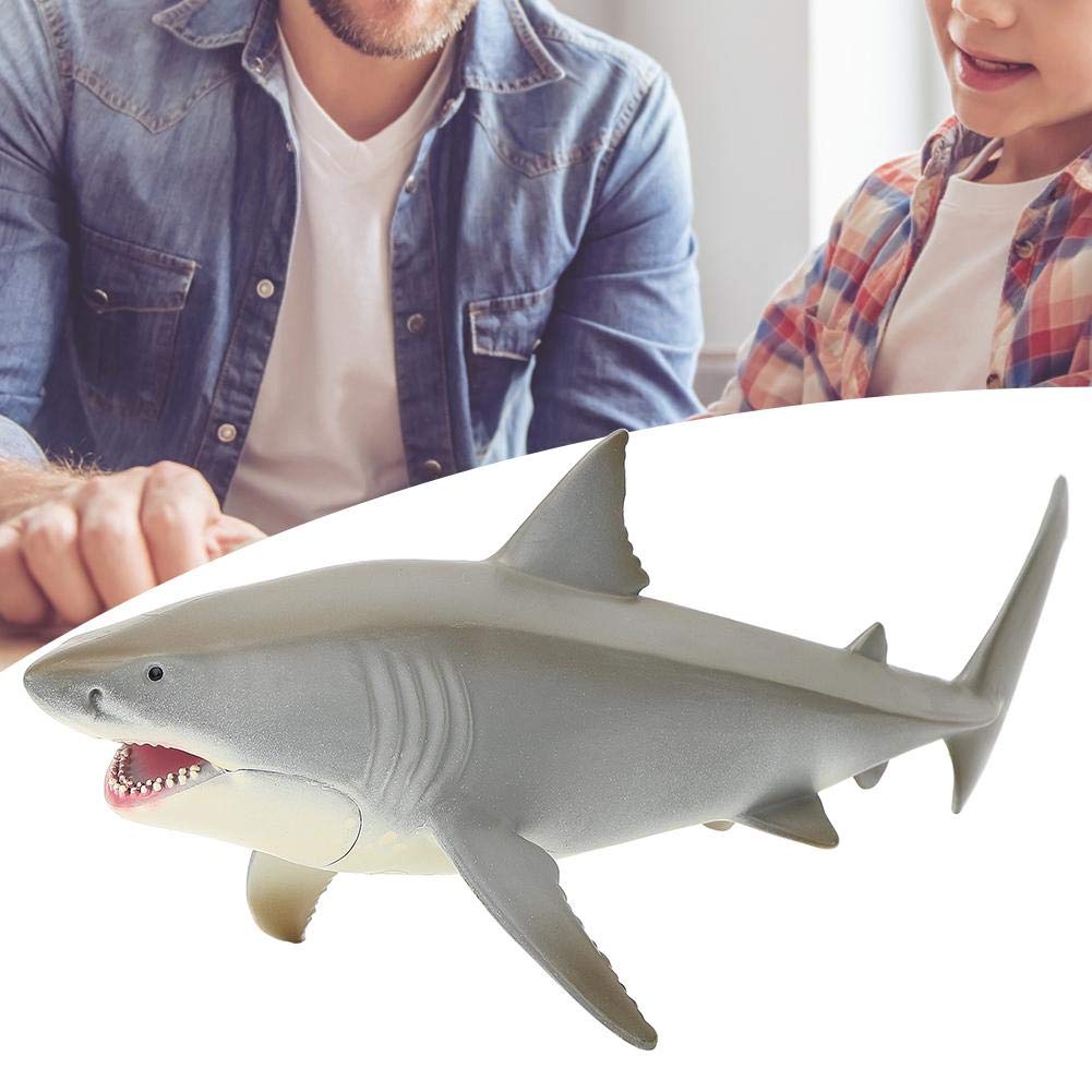Plastic Educational Model Sharks Model For Children Educational Boys ...