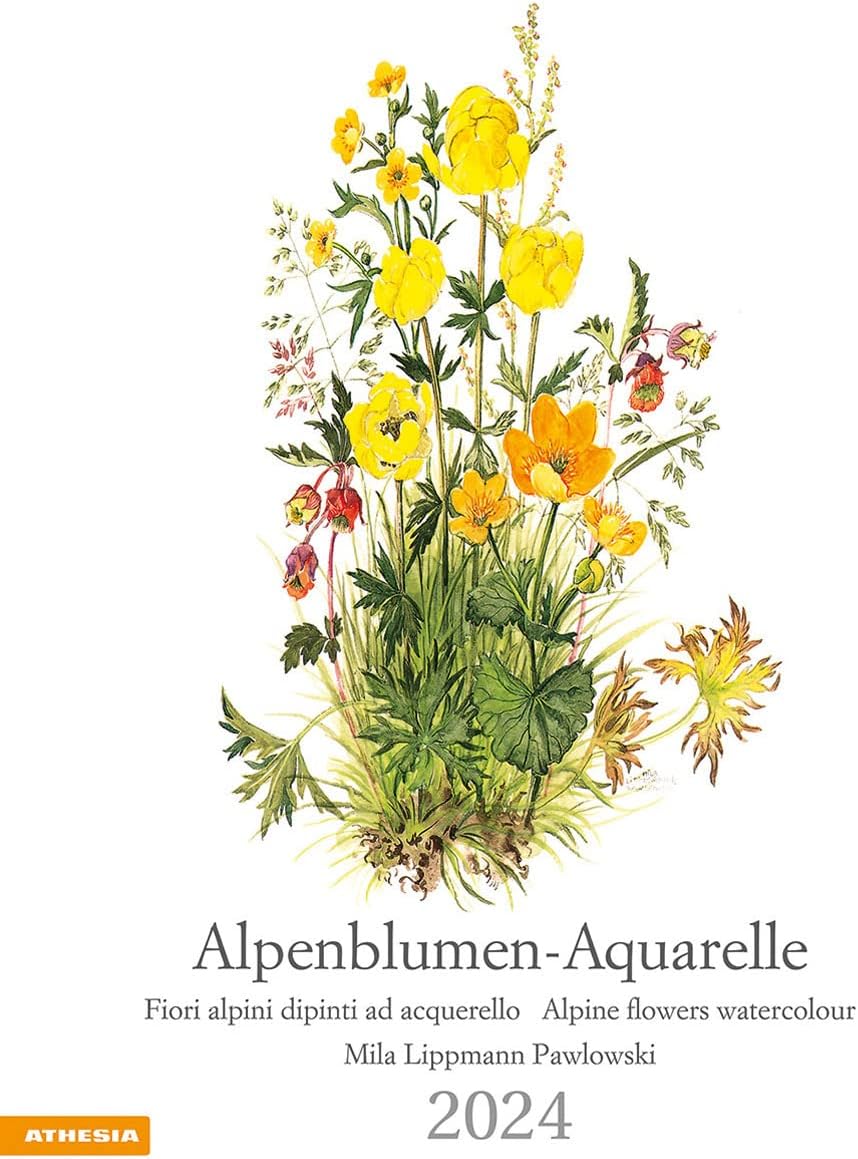 Amazon.com : Alpenblumen-Aquarelle-Alpine Flowers Watercolour Paintings ...