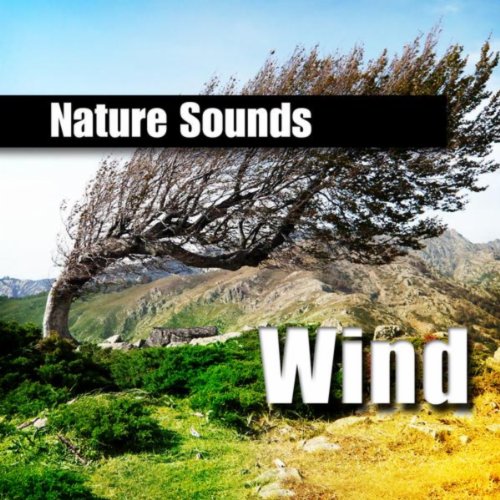 Amazon Music - Nature SoundsのWind - Amazon.co.jp
