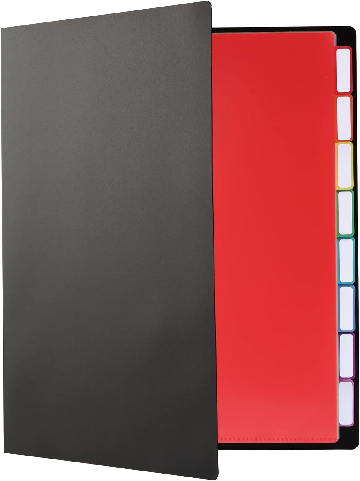 Amazon.com : Pendaflex Project Organizer, File Organizer for School ...