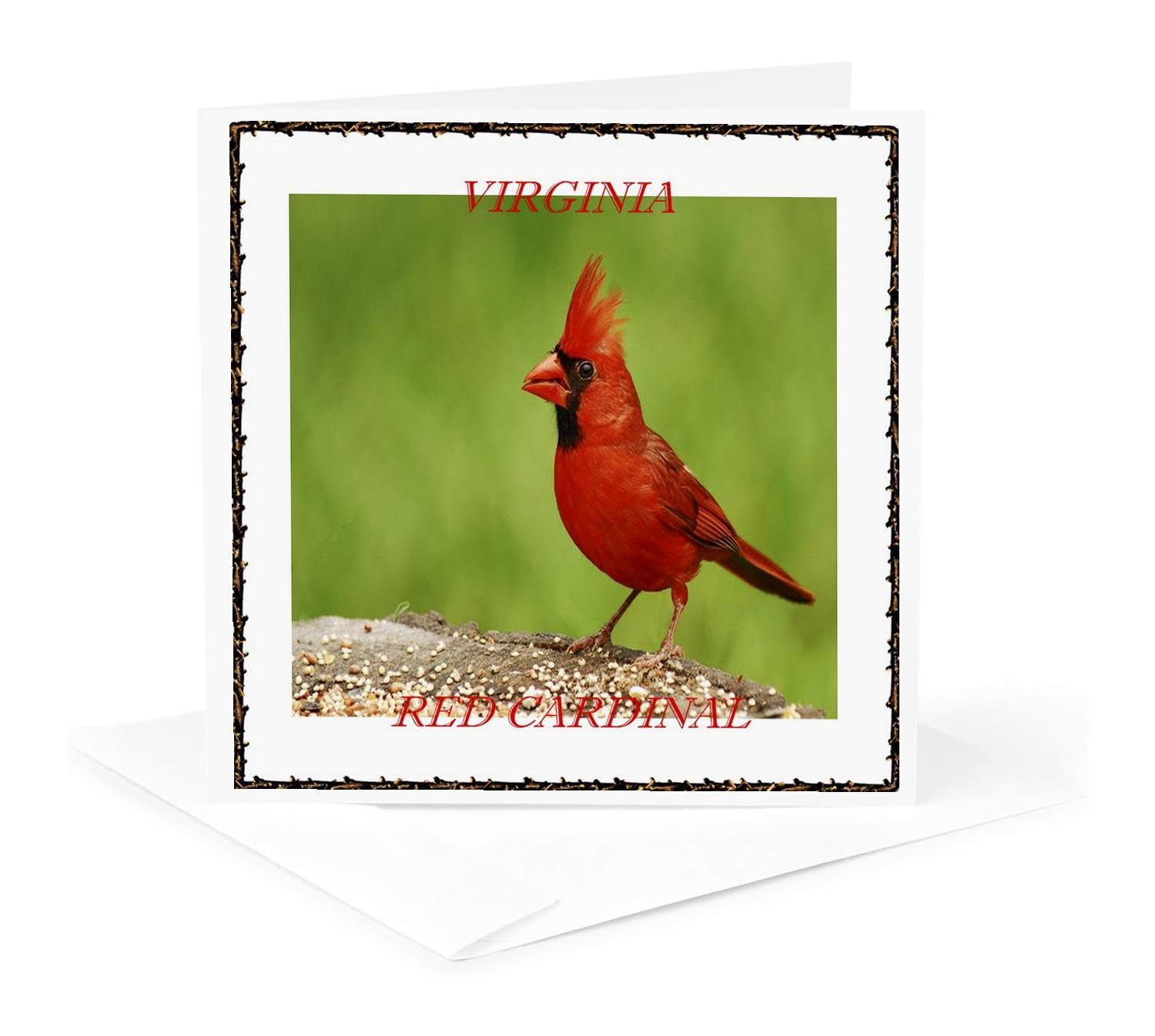 Virginia State Bird Seven States Have The Cardinal As The State Bird,