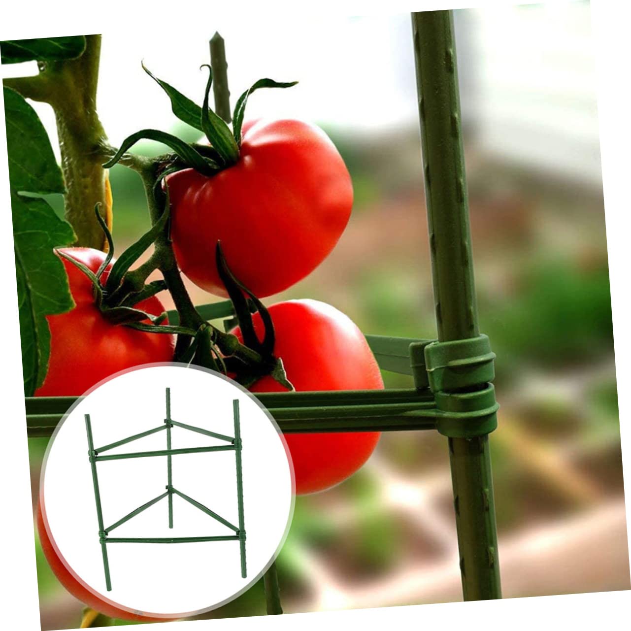 Yardenfun 2 Sets Planting Vine Climbing Frame Grid Plate Steel Rose ...