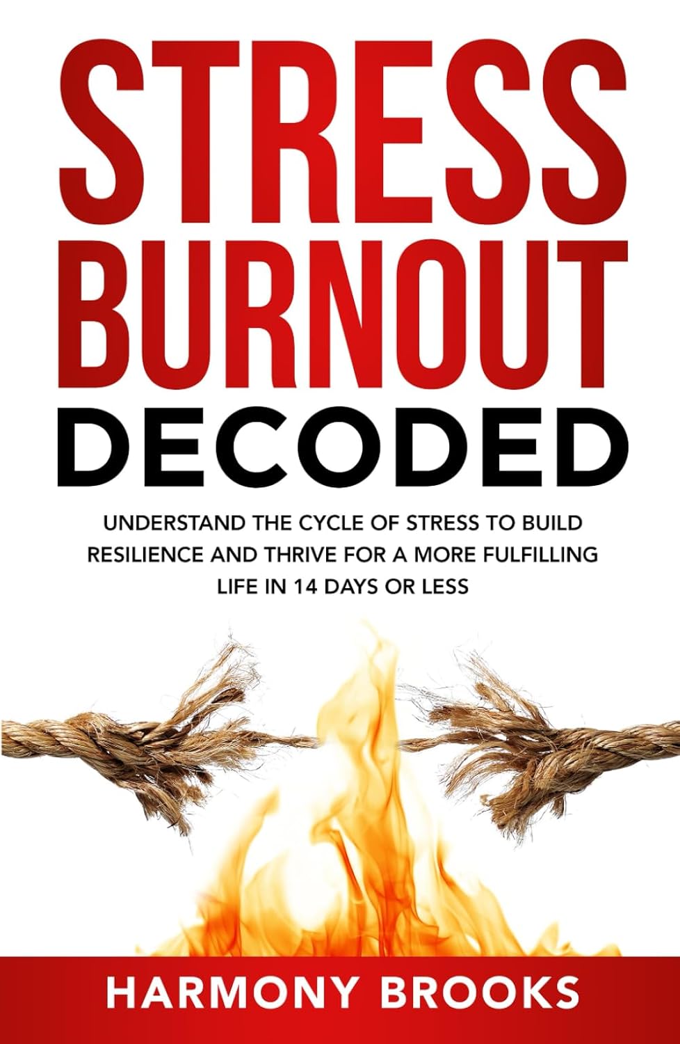 Stress Burnout Decoded: Understanding the Cycle of Stress to Build ...