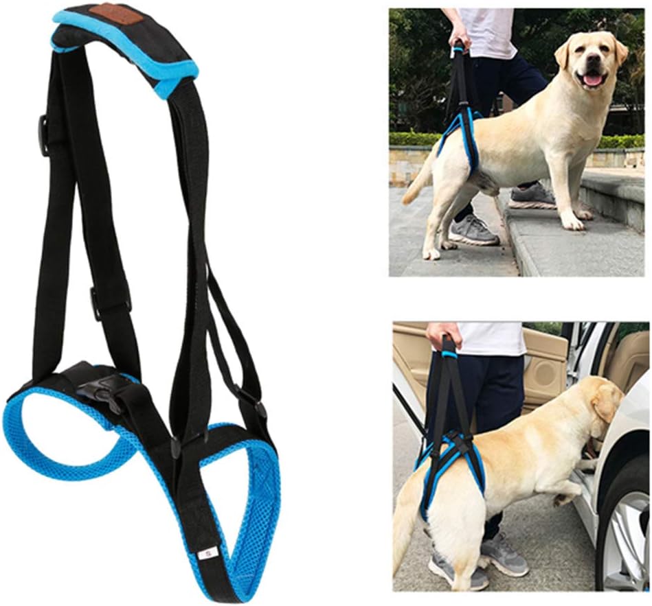 Dog Support Harness for Rear Legs,Dog Lift Support Rehabilitation ...