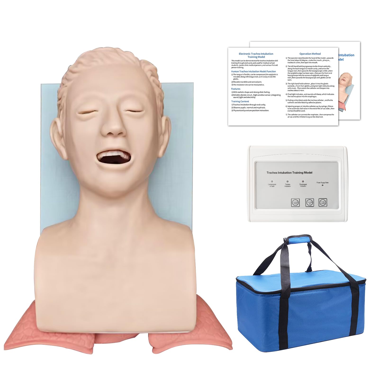 PVC Endotracheal Intubation Human Model - Tracheal Intubation Manikin ...