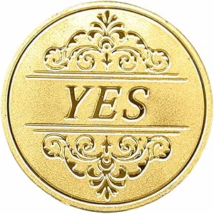Amazon.com: Wooer YES&NO Challenge Flipping Game Lucky Coin, Protective ...