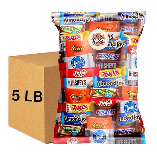 Amazon.com: Bulk Variety Pack of Fun Size Chocolate Candy ...