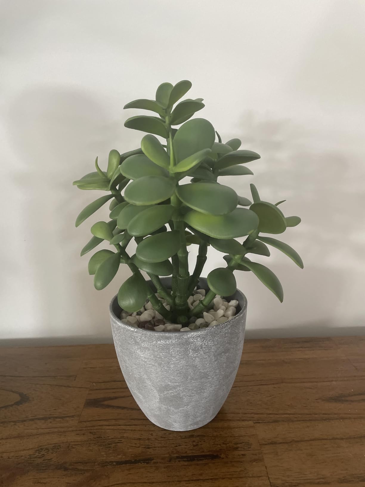 365 Blooming Decor 12” Artificial Jade Plant in Minimalist Gray Pot ...