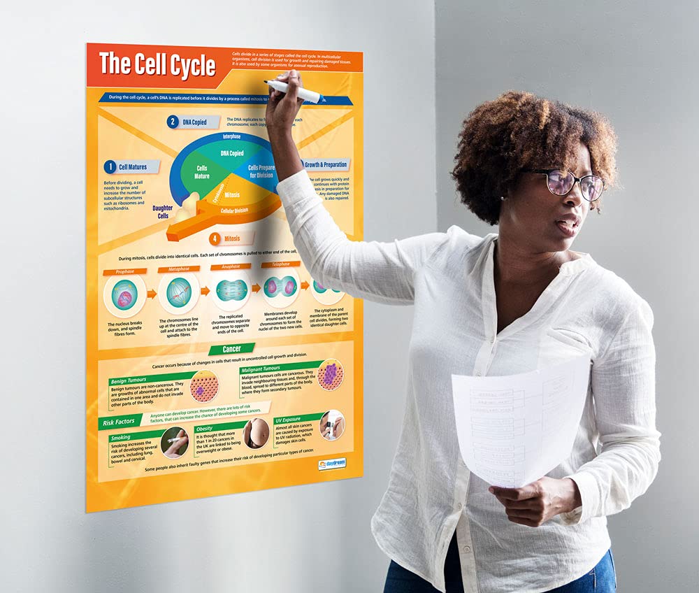 Chemistry Posters For Classroom High School Daydream Education The Cell ...