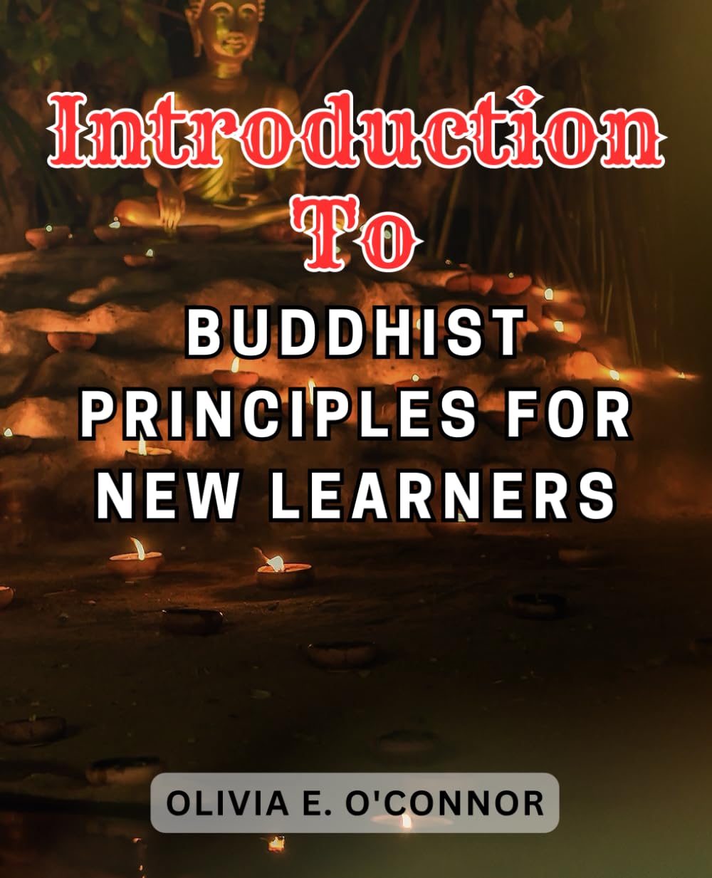 Amazon.com: Introduction to Buddhist Principles for New Learners ...